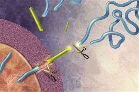 Amyloid Precursor Protein Signals Stem Cells Bioserendipity