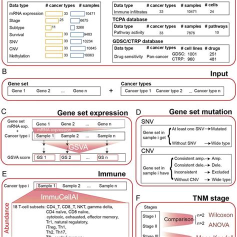 Pdf Gsca An Integrated Platform For Gene Set Cancer Analysis At