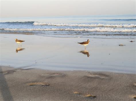 Nilabh Singh On Linkedin Sales And Finance Department When Together 😀