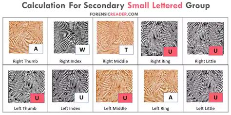[rules] Secondary Classification Of Fingerprints With Small Letter Grouping