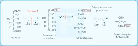 Biochemistry Image Based Mcqs For Neet Pg 2025