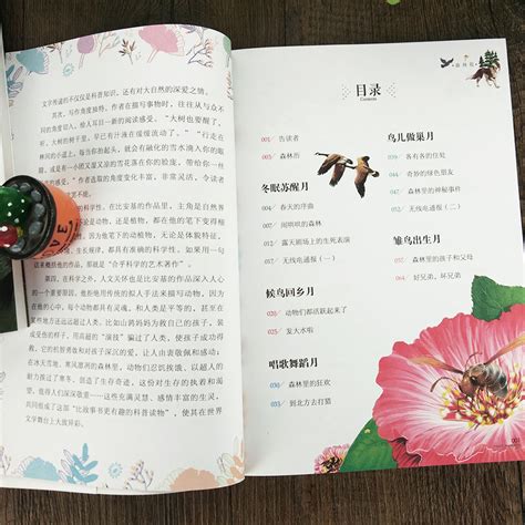 导读点评正版森林报春夏秋冬四季小学生青少年版三四五六年级课外阅读书3 4 5 6年级课外书儿童文学世界名著四年级下册课外书 虎窝淘
