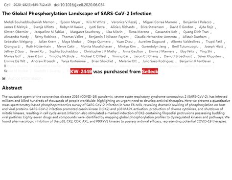Bcr Abl抑制剂 Bcr Abl Inhibitor