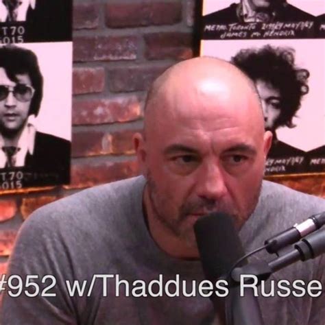 Abby Martin Episodes Joe Rogan Podcast