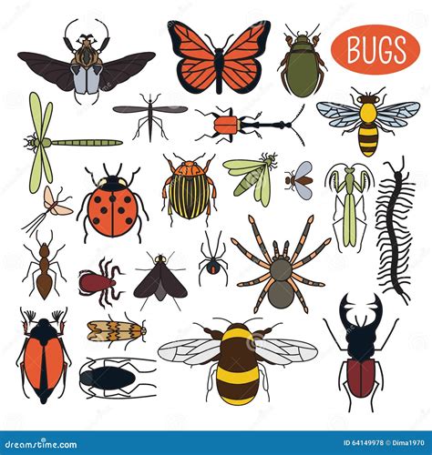 Insect Color By Number Colorful Moments