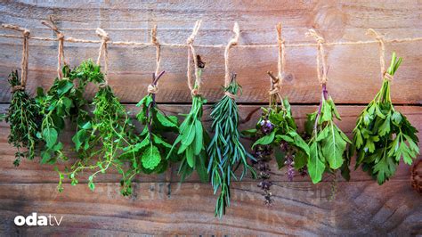 Dünyanın Tabağındaki Otlar Taylanddan İsveçe 7 ülke 7 Efsane Lezzet I Dünyanın Favori