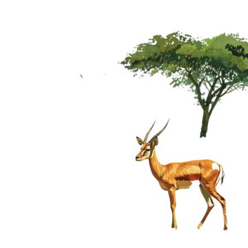 African Green Savannah With Grazing Antelope Landscape Wildlife Scene Savannah African