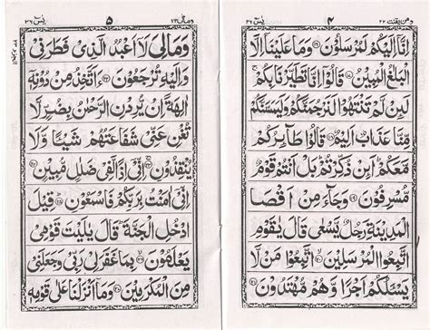 Surah Yaseen Arabic Only Paperbook Arabic