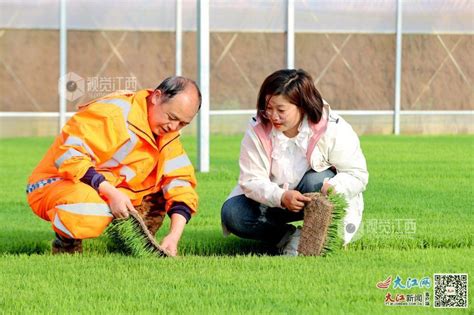 2024年江西将招募1000名左右特聘农技员凤凰网江西凤凰网