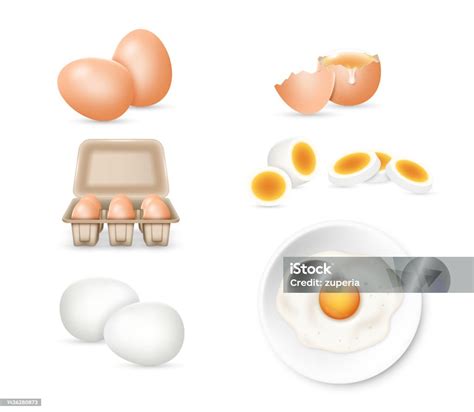 계란은 전체와 깨진 달걀 껍질 노른자로 튀긴 계란 판지 상자에 포장되어 열리고 닫힙니다 계란 노른자에 대한 스톡 벡터 아트 및 기타 이미지 Istock