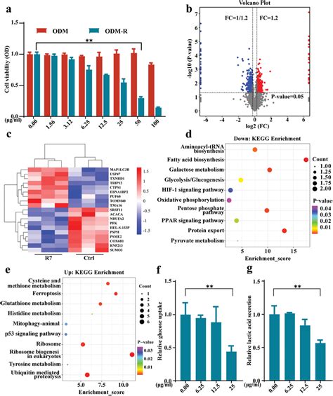 Specific Inhibition Effects Of Odm‐r Against Llcs A Relative Cell