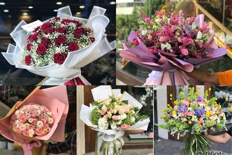 مجتمع گل و گیاه هوشنگ خرید