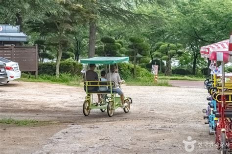 영랑호 스토리자전거