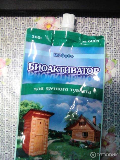 Антисептик для туалета на даче: обзор лучших средств и биоактиваторов