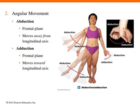 9 Articulations Ppt Download 9 Articulations Ppt Download