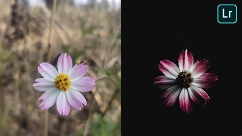 LIGHTROOM TUTORIAL Moody Flower Editing 2 Lightroom Dark