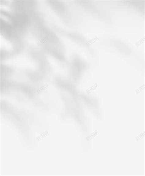 植物投影光影png免抠素材新图网 光影 投影 植物 透明png 花瓣网