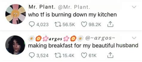 Mr Plant X Argos On Tumblr