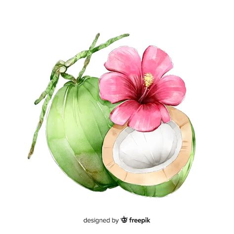 Kho ảnh Lotus Thư Viện Hình Vector