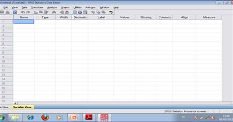 Penjelasan Istilah Dan Fungsi Variabel View Dalam Spss Caro Denai