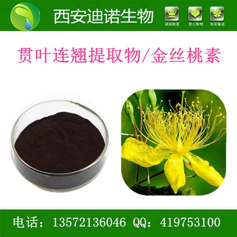 贯叶连翘提取物 0 3 金丝桃素价格 产地陕西 品牌西安迪诺生物 厂家西安迪诺生物科技有限公司