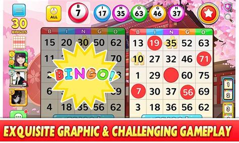 Bingo Win Apk For Android Download