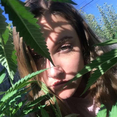 Stream Sophia Bertolini Music Listen To Songs Albums Playlists For