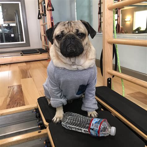 Isaiah Terry Isaiah Terry313 Twitter