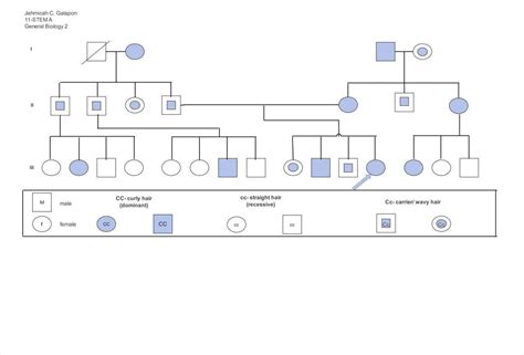 Free Pedigree Chart Maker