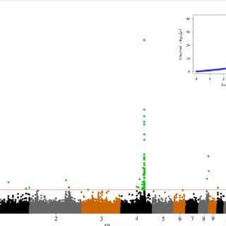 Manhattan Plot Of P Values For The Genome Wide Association Study A 1