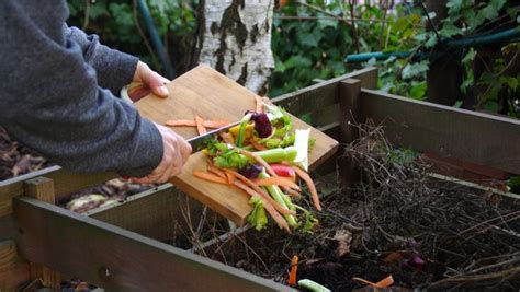 Compost Obligatoire 2024 Tout Ce Que Vous Devez Savoir