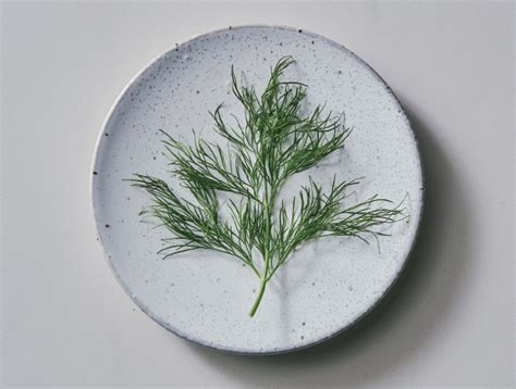 뉴 플레이스의 여름 맛
