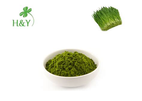 Natural Fresh Wheatgrass Powder Drink Wheat Grass Juice Powder