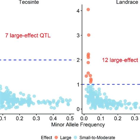 The Relationship Between Effect Size And Minor Allele Frequency Maf Download Scientific