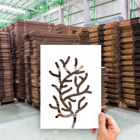 Packaginginnovation Sustainablepackaging Biotechnologyinaction Techinmanufacturing