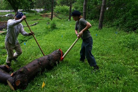 Living In Dryden Log Rolling