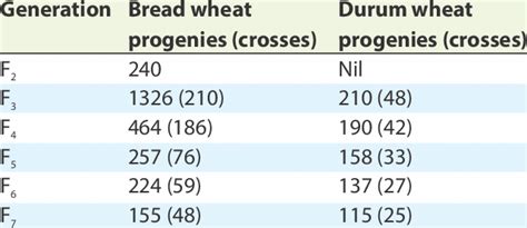 24 Evaluation Of Segregating Material Of Bread And Durum Wheat In