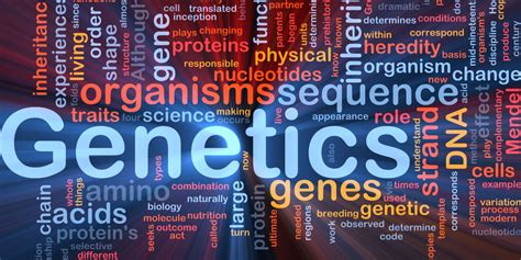 The Astounding Relationship Between Genetics And Gout Get Rid Of Gout