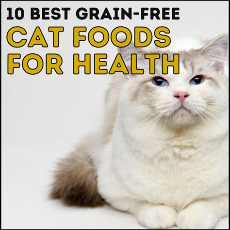 A Full Low Carb Cat Food List For Healthy Eating In 2023