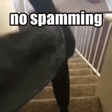 Spam Spam Spam Monty Python GIFs Tenor