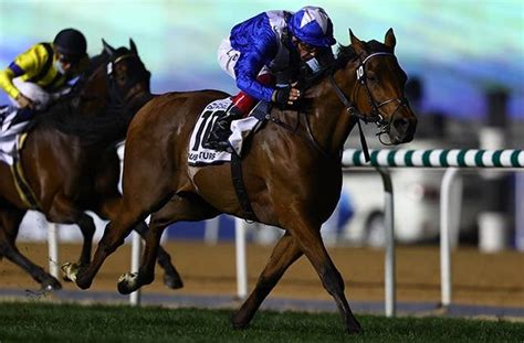 休養明けをひと叩きのロードノース、連覇かかるドバイターフへ Jra Van World 海外競馬情報サイト