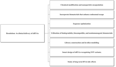 Resolutions In Clinical Delivery Of Sirnas Adapted From 42