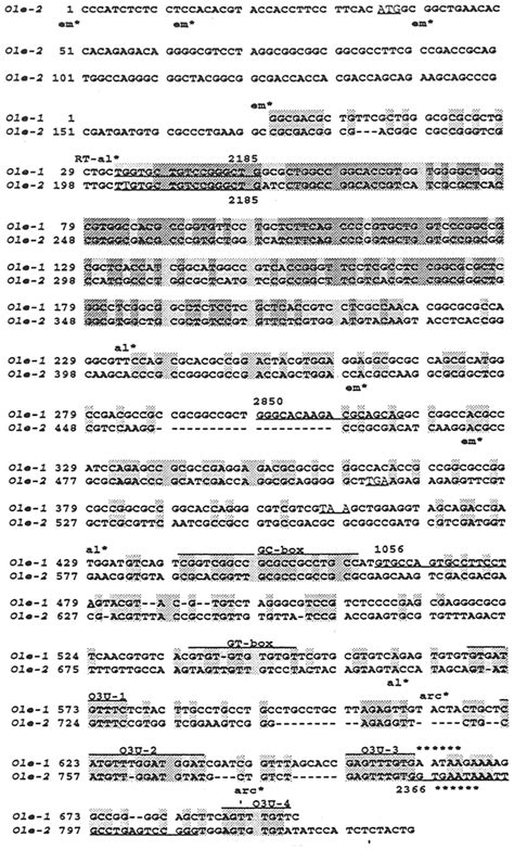 Alignment Of The Oie L And Uie 2 Cdna Sequences Identical Bases In The