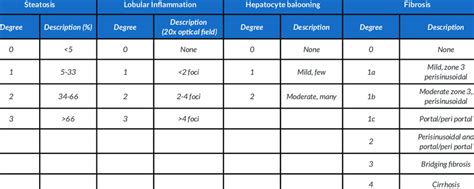 Nonalcoholic Steatohepatitis Clinical Research Network Scoring System Download Scientific