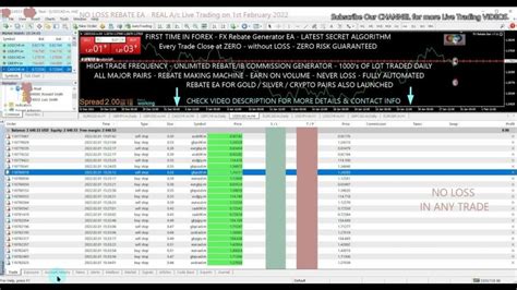 No Loss Forex Robot Review