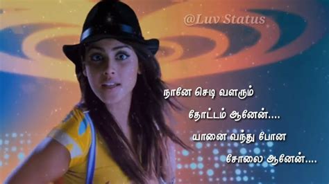 Tamil Love Song Whatsapp Status Video Youtube