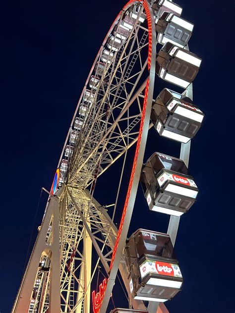 Dr Alexandra David On Linkedin Deskilling Brain Careermanagement