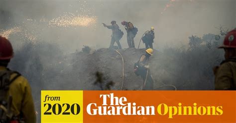 What Turned California Forests Into A Tinderbox Fire Suppression