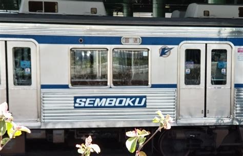 【和泉市】泉北3000系車両の撮影会が開催されます。泉北高速鉄道光明池車庫にて。 号外net 和泉市