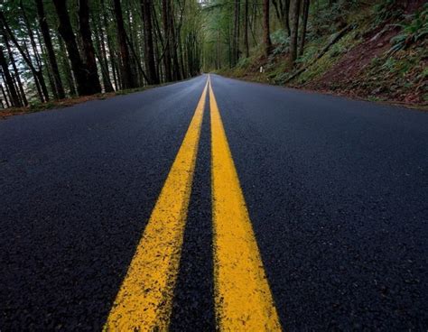 Çka Tregojnë Vijat E Verdha Në Rrugë Eureka24